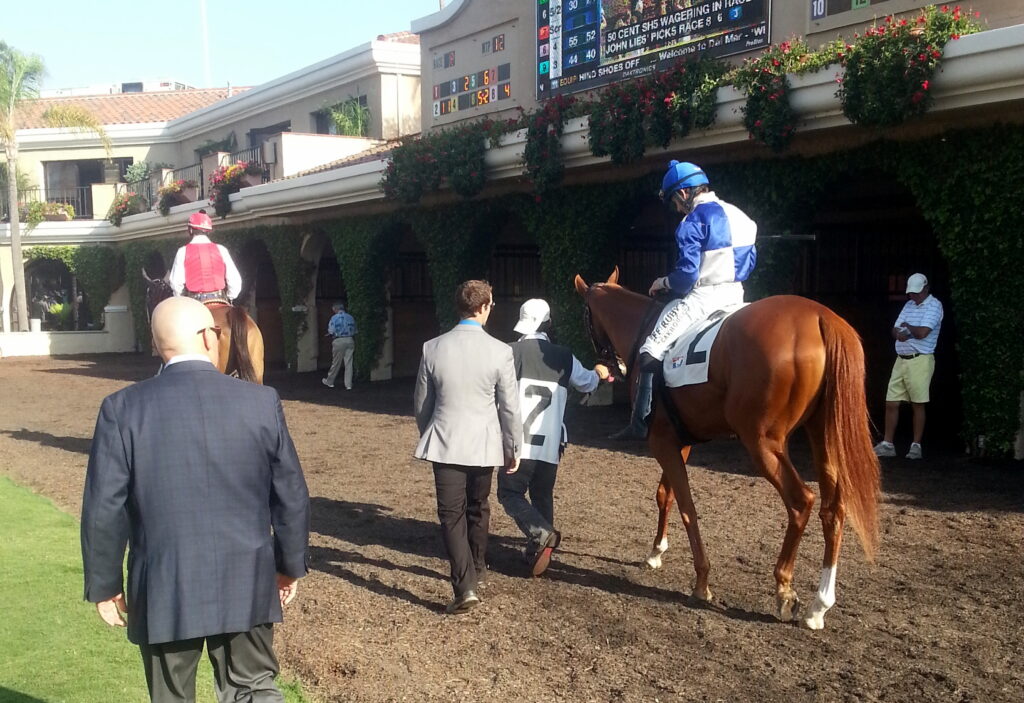 Michael Stidham Takes Advantage of Ship and Win Program | Thoroughbred ...