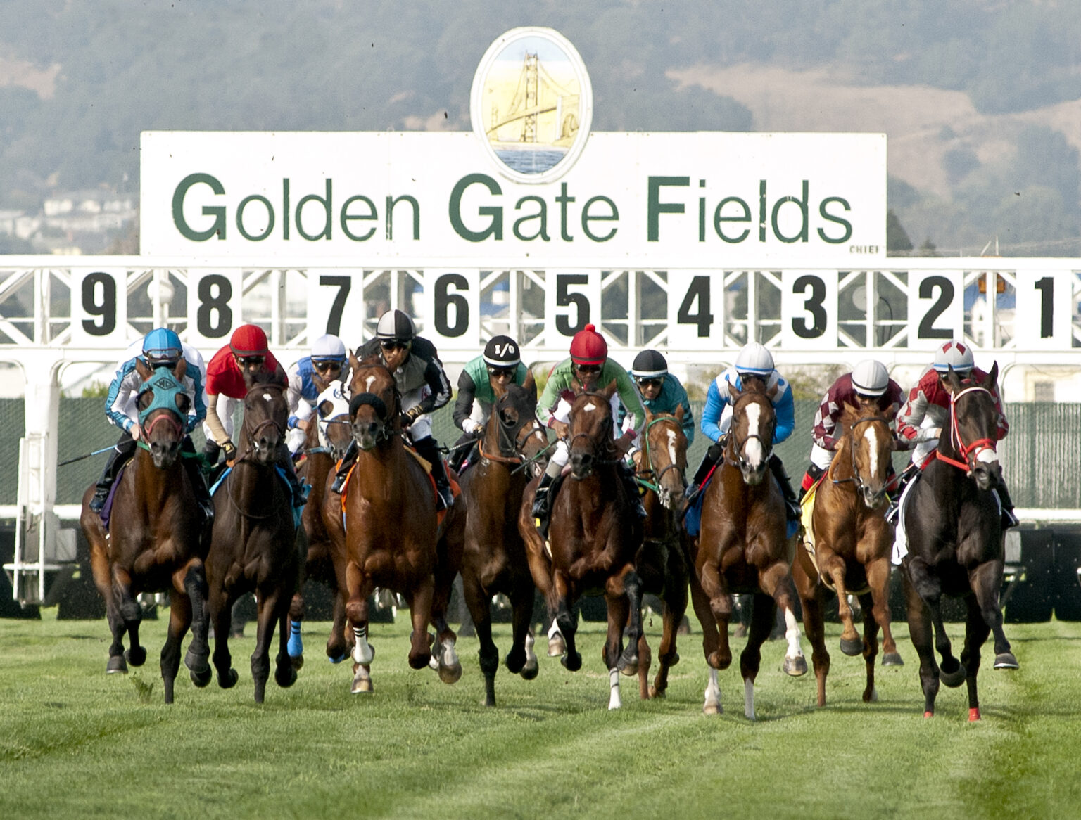 Expanded Viewing for Owners at Golden Gate Fields | Thoroughbred Owners ...