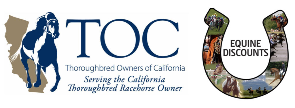 5 Days of Equine Discounts Giveaways... Coming Soon!! | Thoroughbred ...